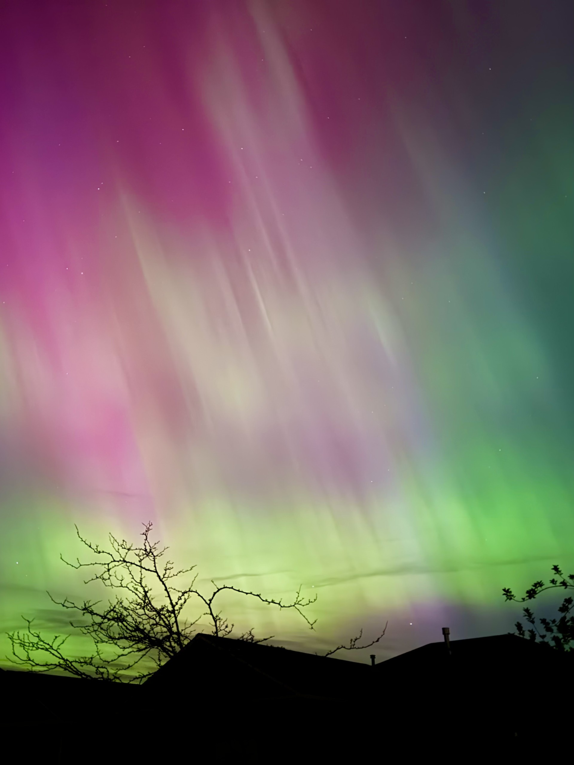 Faith Jensen | Astronomy