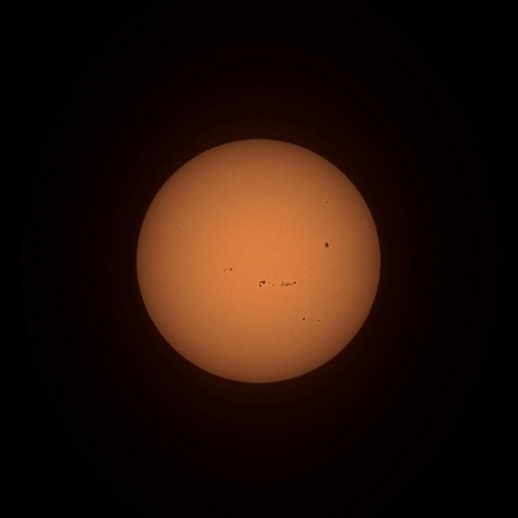 Research | Faith Jensen